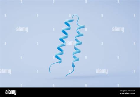 Biological Curve Protein Structure 3d Rendering 3d Illustration Stock