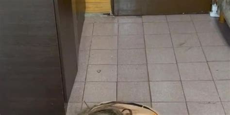 For Wanda Tnaflix Com