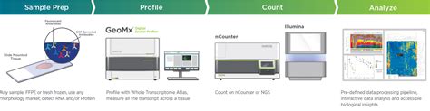 Bulk Gene Expression And Spatial Profiling Grant Program Howard