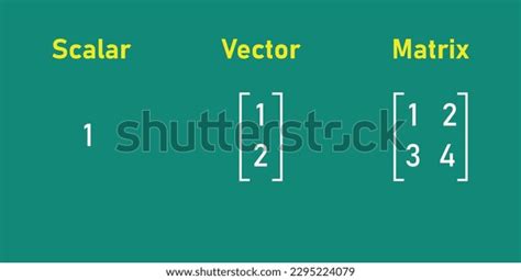 Scalars Vectors Matrices Linear Algebra Mathematics Stock Vector Royalty Free