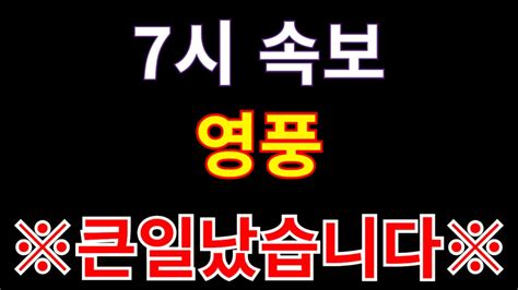 영풍 마지막 기회 나옵니다 영풍주가전망 영풍목표가 Youtube
