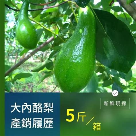 好南入手 樂咖田庄農場酪梨轉色5斤箱