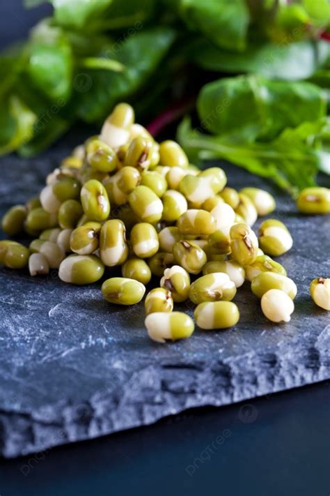 어두운 배경에 녹두 콩나물 사진 및 무료 다운로드를위한 그림 Pngtree