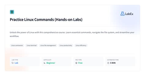 Pratique Comandos Linux Laboratórios Práticos Labex