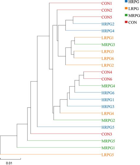 Upgma Clustering Tree Of Rumen Bacterial Microbiota The Closer The Download Scientific Diagram