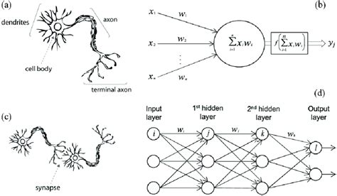 Figure 2 From Software Based Mass Customization Of Artificial Neural Networks And Its Benefits