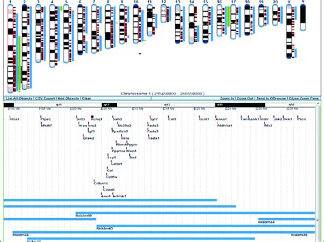 Genome Viewer Gviewer A Gviewer Result For Insulin Keyword Search Download Scientific
