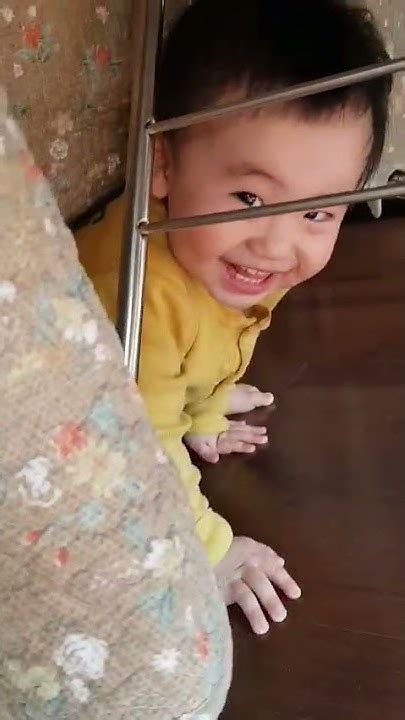 조카의 초음파 시전my Nephews Dolphin Sound Youtube