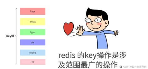 分布式文件存储与数据缓存 Redis高可用分布式实践（上）文件存储高可用 Csdn博客