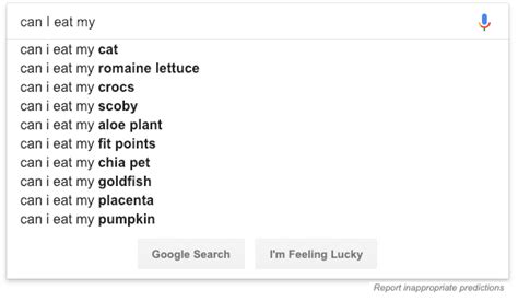 Autocomplete Live Search Suggestions And Autocorrection Best Practice Design Patterns