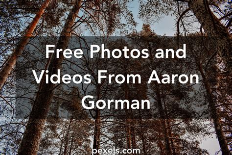 Aaron Gorman Photography