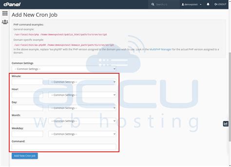 How To Backup MySQL Database Using A CPanel Cron Job Linux Shared