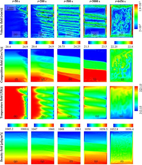 Transient Evolution Of A E Velocity Field Ms F J Composition