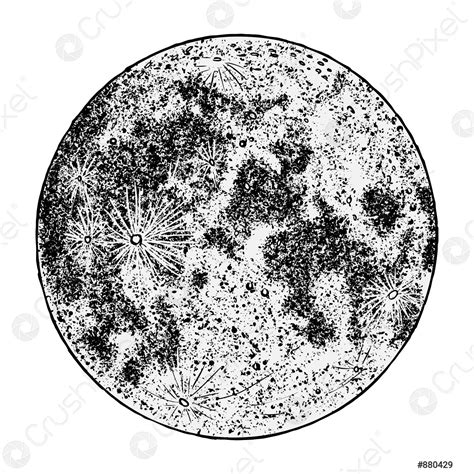 Realistic Full Moon Drawing Vintage Engraving Astrology Or Astronomy Design Stock Vector