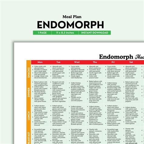 Endomorph Meal Plan Printable Color Pdf Easy Fat Loss Meal Ideas