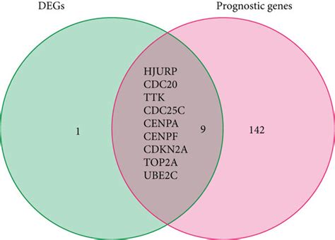 A List Of Possible Ddr Related Genes Identified In The Tcga Cohort Download Scientific Diagram