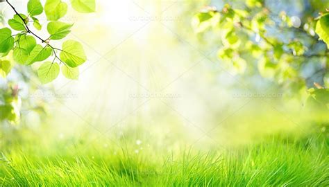 بک گراند طبیعت گرافیک با طعم تربچه طرح لایه باز