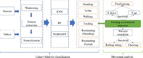 Figure 3 From Classification And Analysis Of Multiple Cattle Unitary Behaviors And Movements