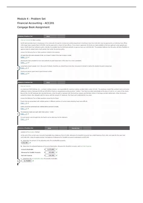 Module 4 Problem Set Financial Accounting Acc 201 Acc201 Stuvia Us