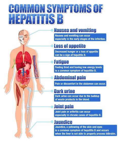 Hepatitis B Symptoms