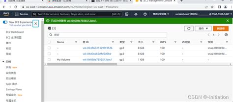 使用 Ebs 和构建数据库服务器并使用应用程序与数据库交互ebs 连接数据库 Csdn博客