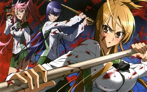 227558 2560x1600 Saeko Busujima Rare Gallery Hd Wallpapers