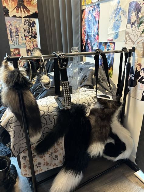 Pin By Mayor Prince On Aesthetic 20 In 2025 Puppy Time Pet Spaces