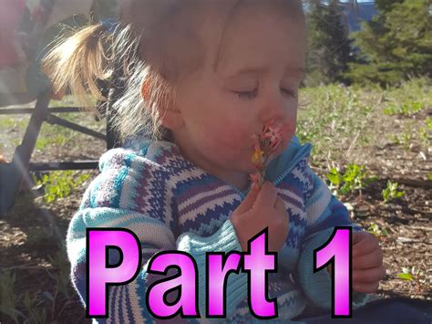 Field Assignment Pdf