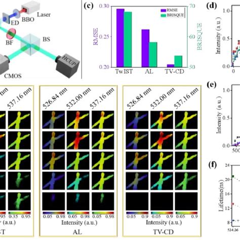A Experimental Configuration For Observing A Fluorescence Dynamical Download Scientific