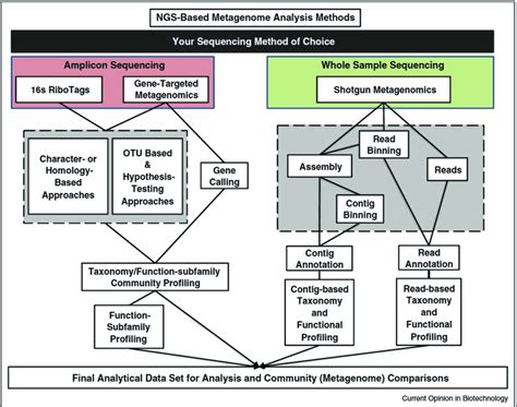 4 Graphical Representation Of Analytical Steps Of Bioinformatic