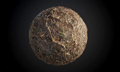 Ground Tree Roots Seamless Pbr Texture Texture Cgtrader