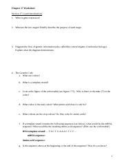 Chapter17 Worksheet CB Docx Chapter 17 Worksheet Section 17 1 And Introduction 1 What Is Gene