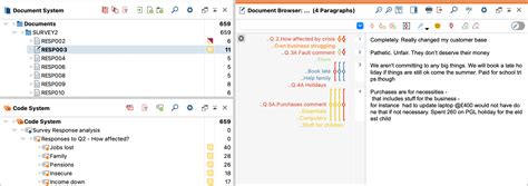 Questionnaire Analysis Maxqda