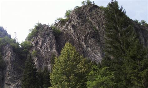 ექსკურსიაზე მყოფი პედაგოგი კლდიდან გადავარდა და დაიღუპა კვირის პალიტრა