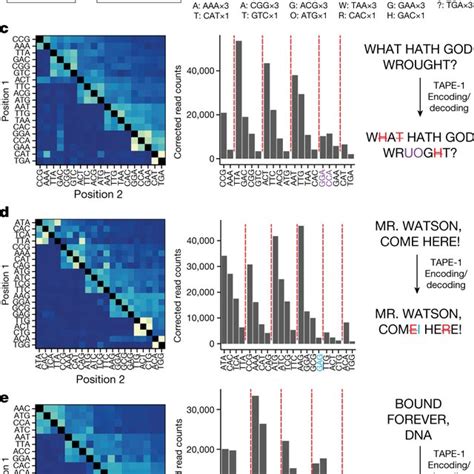 Recording And Decoding Short Digital Text Messages With Dna