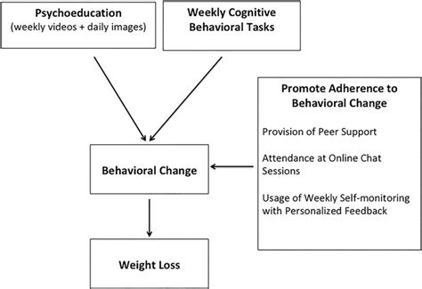 Apolo Teens Web Based Intervention Behavioral Framework Download