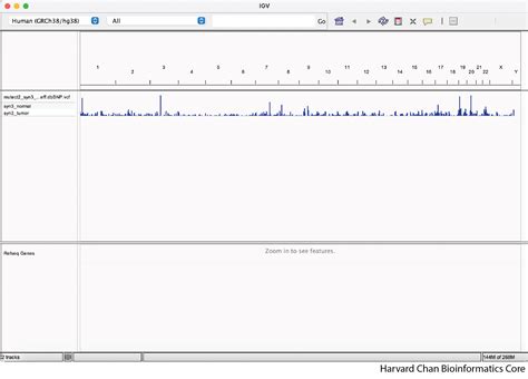 Integrative Genomics Viewer Variant Analysis