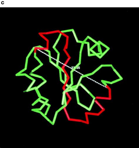 Predicted Structure Of Pdi Deletion Mutants A Domain Structure Of Download Scientific Diagram