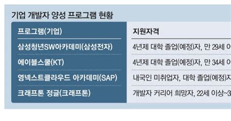 서울대 컴공 취업률 맞먹는 기업 개발자 코스