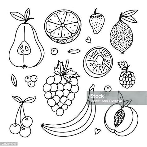 육즙이 많고 맛있는 과일과 열매가 가득한 사랑스러운 개요 배 키위 복숭아 레몬 오렌지의 손으로 그린 낙서 디자인 소셜 미디어 인쇄 비타민이 가득한 열대 완숙 과일 개체