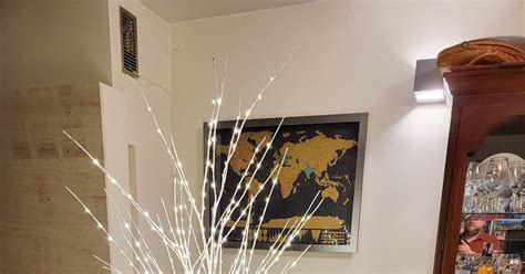 Committed Stitcher Naked Tree