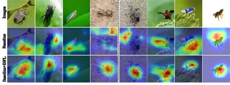 Causality Inspired Framework Boosts Crop Pest Recognition Chinese Academy Of Sciences