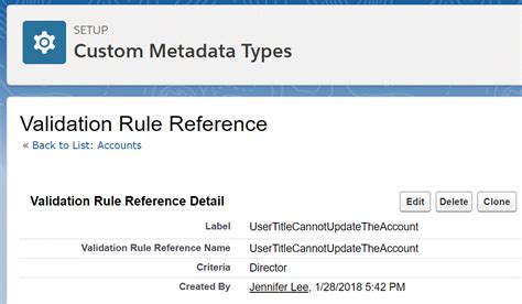 Spring 18 Preview Reference Custom Metadata Type Records In