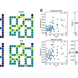 Graph Theoretic Measures For Each State Of The Map And Their Relations With VTE Behavior