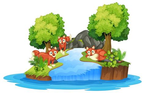 Forest Island Vector Art Icons And Graphics For Free Download