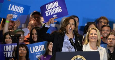 해리스 승리에 조지아 흑인男·노스캐롤라이나 온건 공화 관건