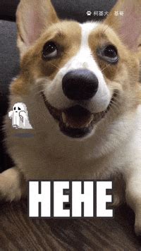 Hehehe S