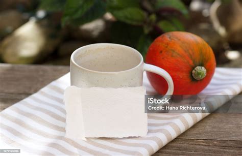 화창한 날에는 하얀 체크 무늬 담요에 오렌지 호박을 곁들인 커피 컵 도자기 머그잔을 클로즈업합니다 빈 카드 모형 가을 야외 식사 휴식 개념 아무도 없습니다 10월에 대한