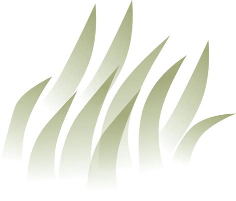 Whimsical Waves Of Green Grass Png Free Download