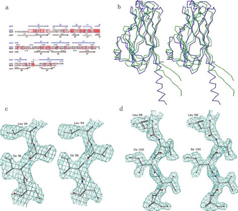 Astructure Based Sequence Alignment Was Performed Using The Program O